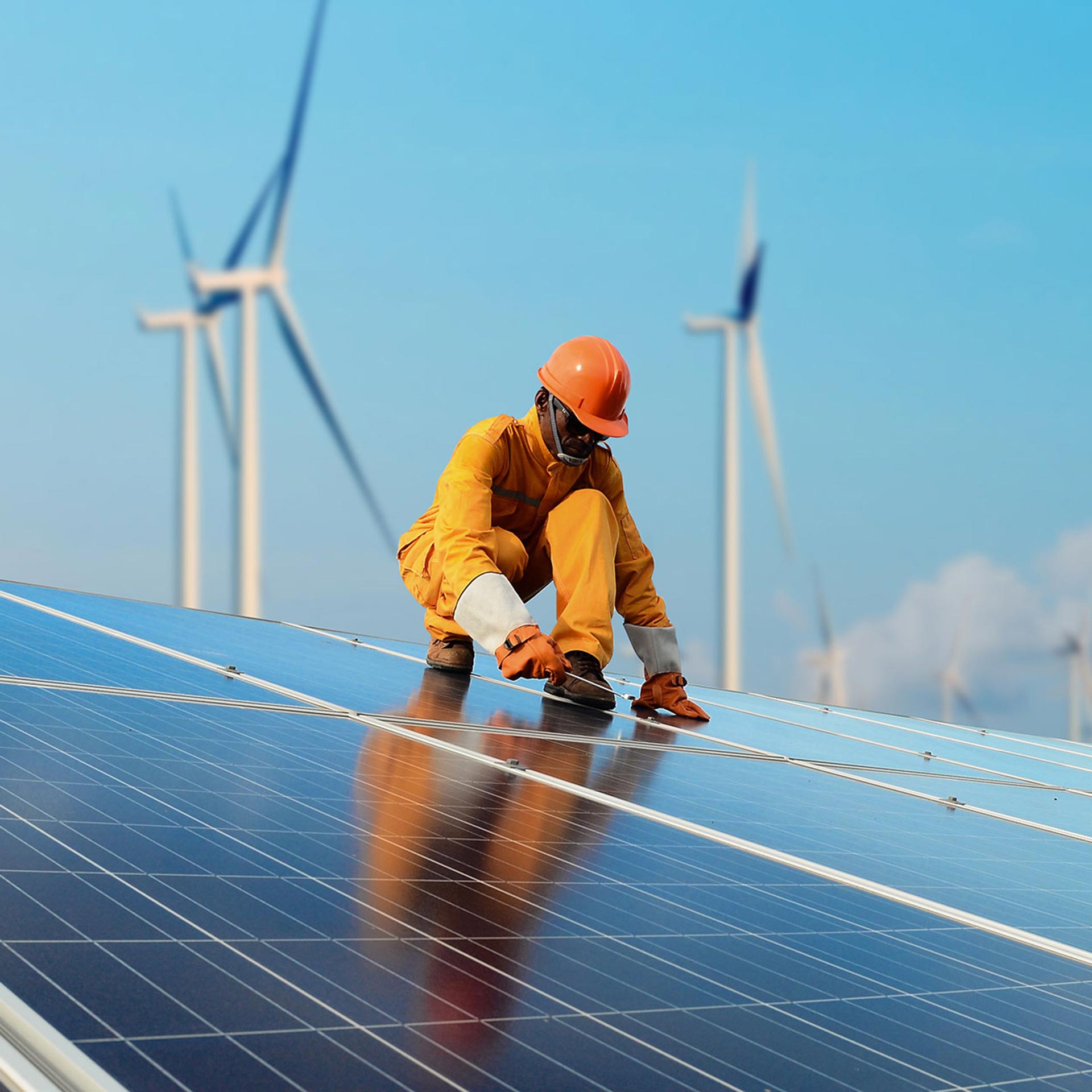 Osborn Solar Farm - TAVAN | Advanced Agricultural Technologies